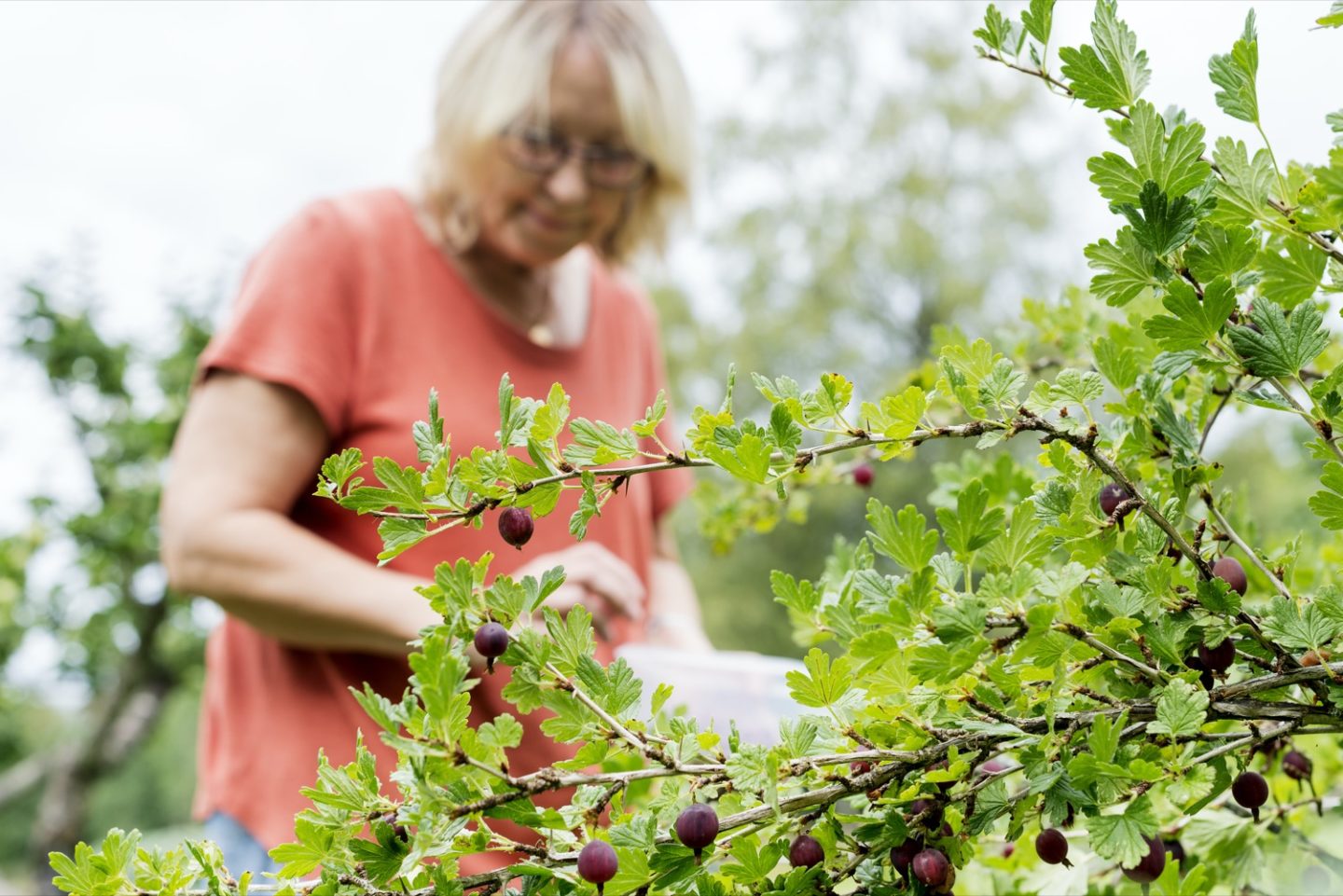 Behandling av lymfom - Lymfominfo